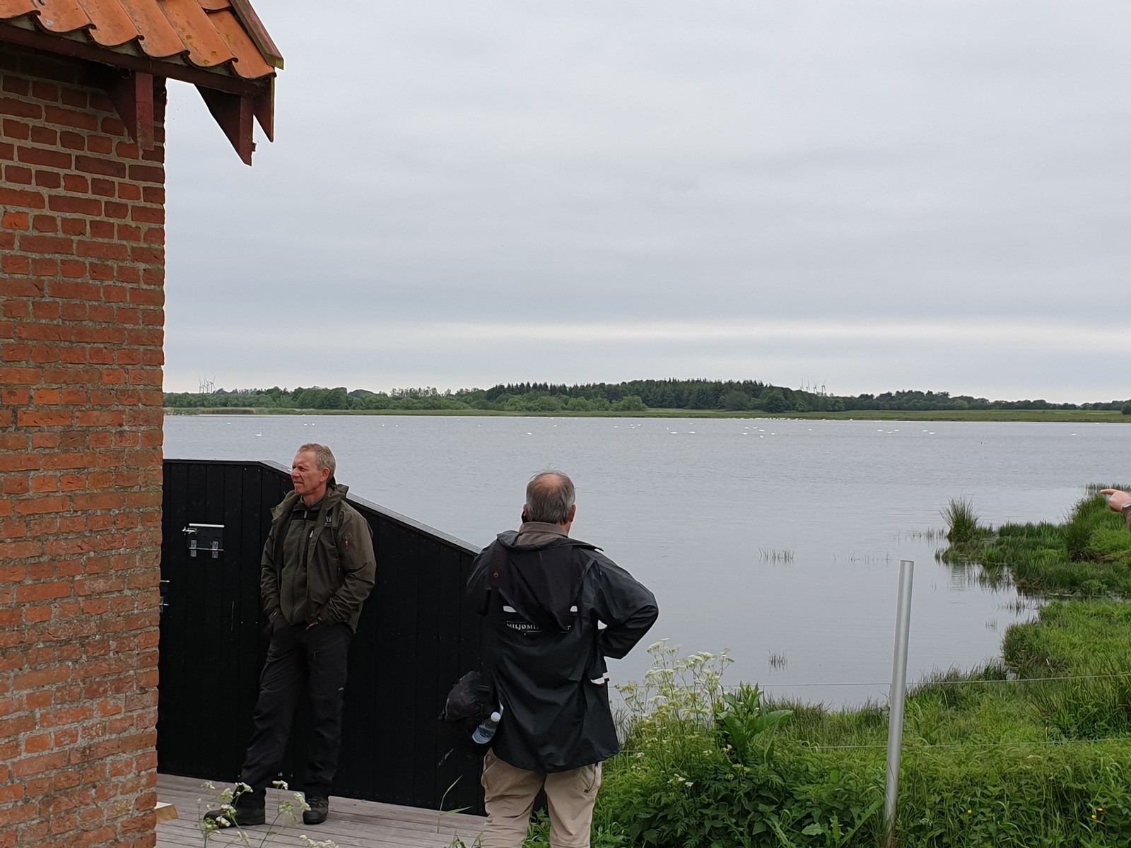 Brokholm Sø, Fugletårn - udinaturen.dk