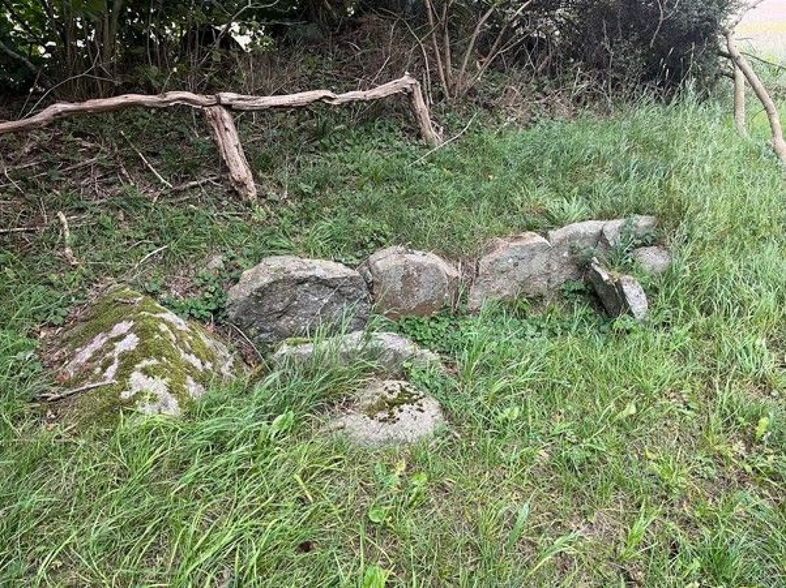 Sorte Enge kisten | udinaturen.dk