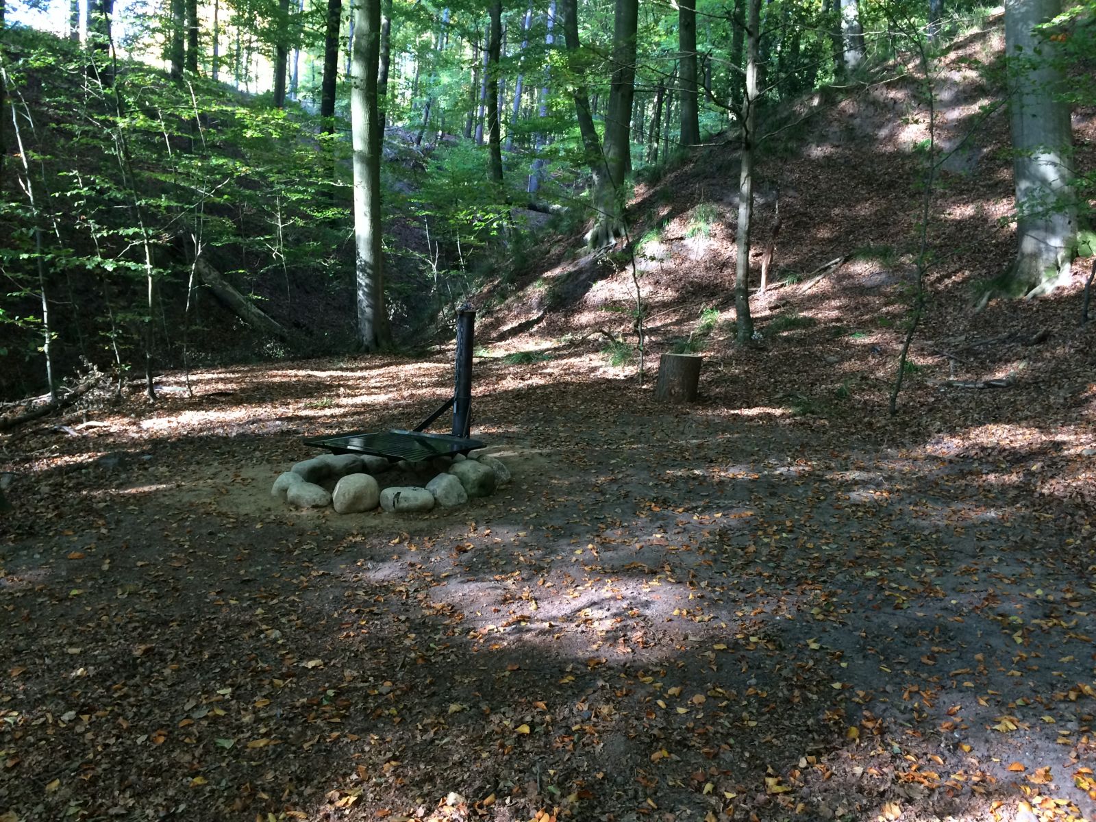 Kollund Skov - udinaturen.dk