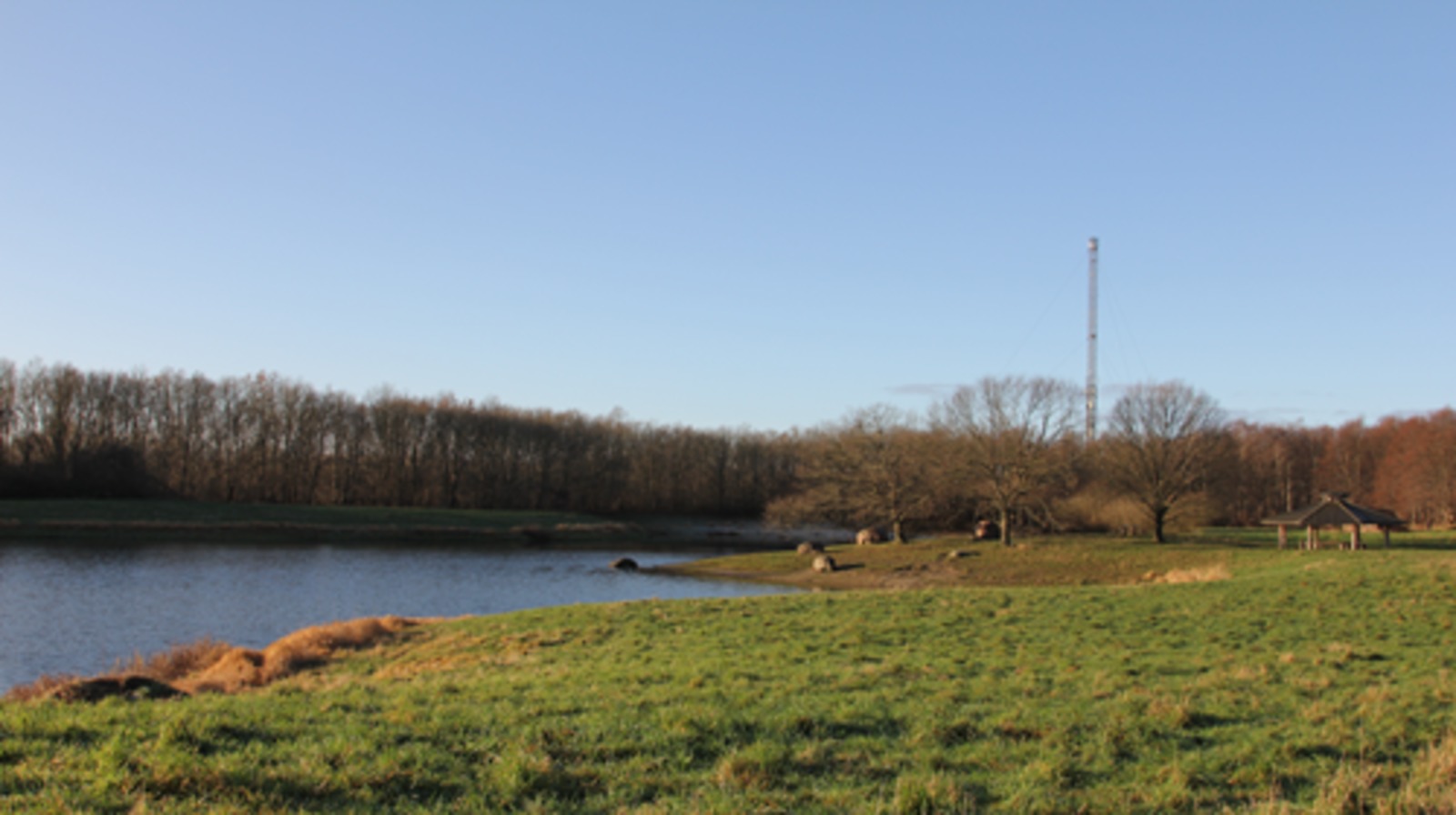 Vestskoven, Stensøen - udinaturen.dk