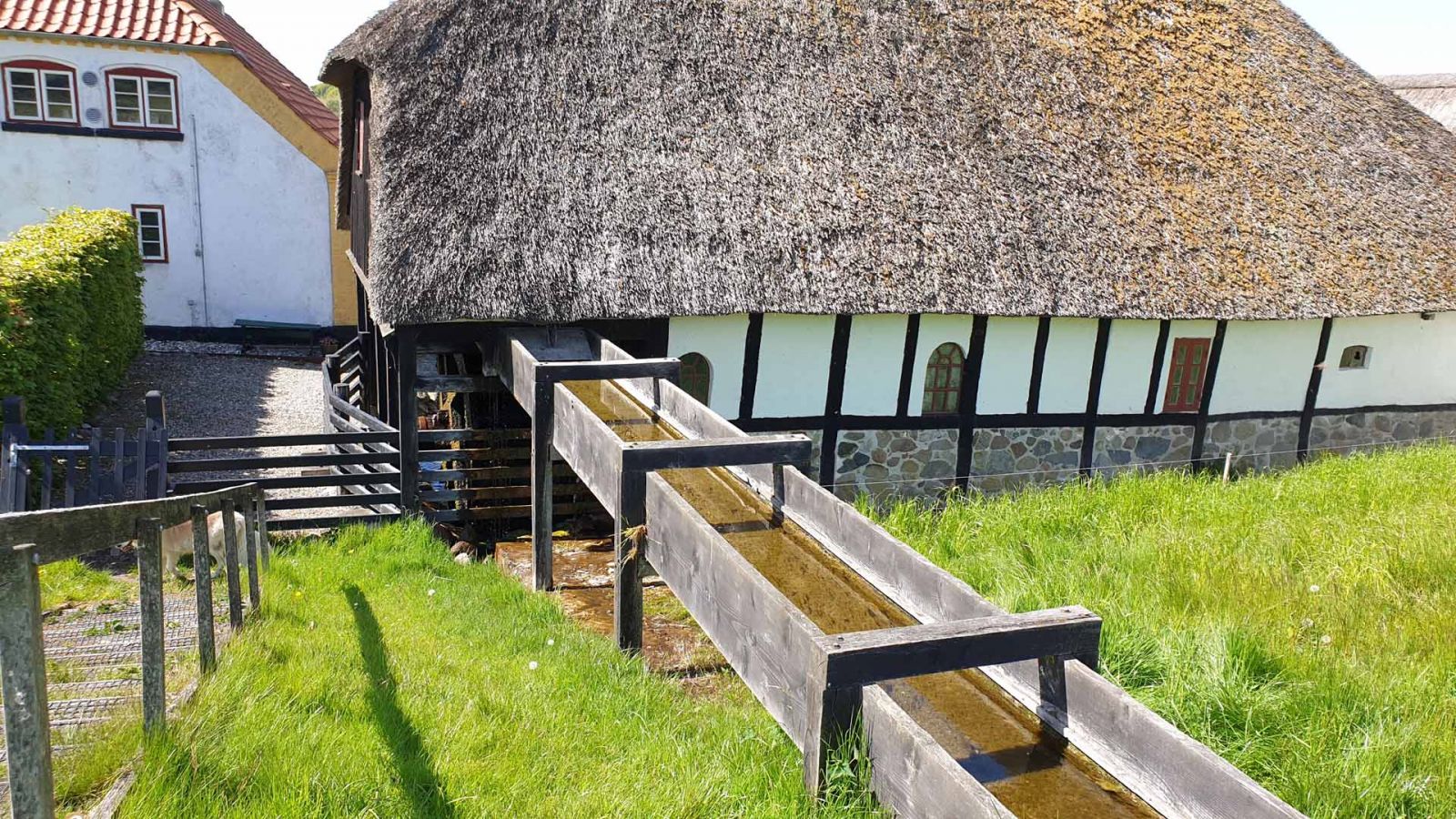 Halkær Mølle Naturcenter, Madpakkehus - udinaturen.dk